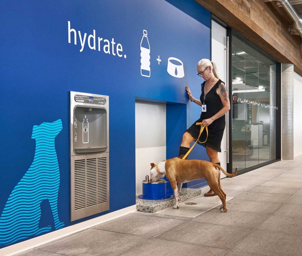 Banfield Pet Hospital Corporate Headquarters | Gensler