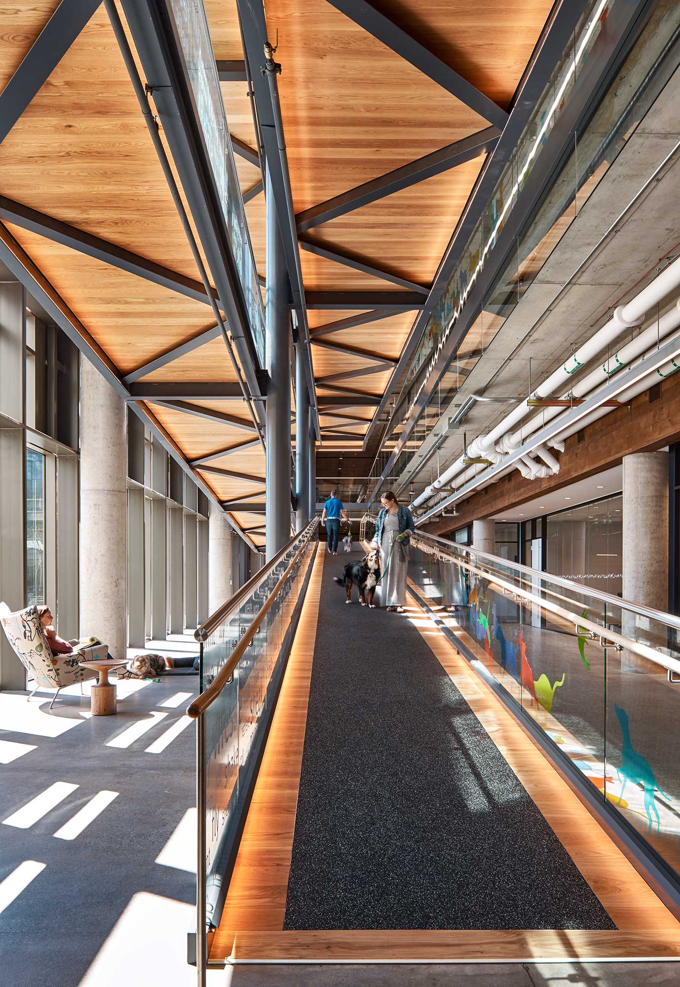 Banfield Pet Hospital Corporate Headquarters | Gensler