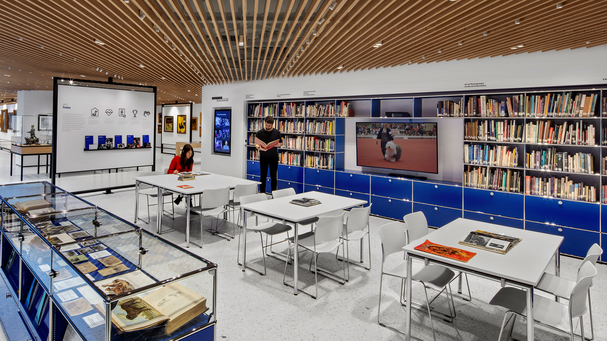 American Kennel Club Museum of the Dog | Projects | Gensler