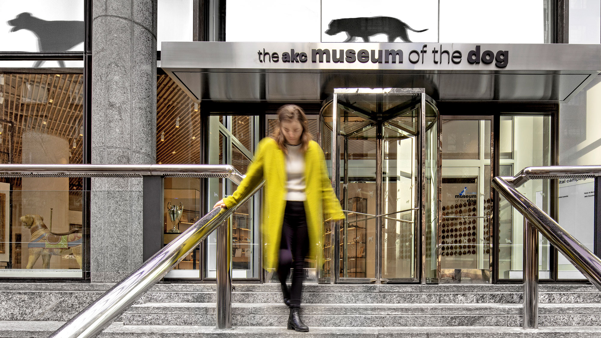 AKC Museum of the Dog: Experience Design | Gensler